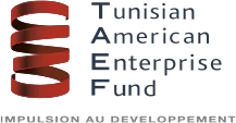 TAEF Fellows Program | Tunis Business School